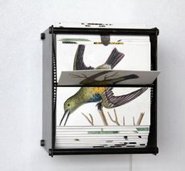 Eye-catching bird book is flippin' wonderful | Creative Bloq