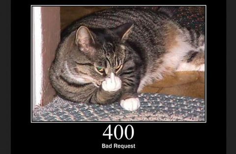 HTTP status codes expressed as cats | Creative Bloq