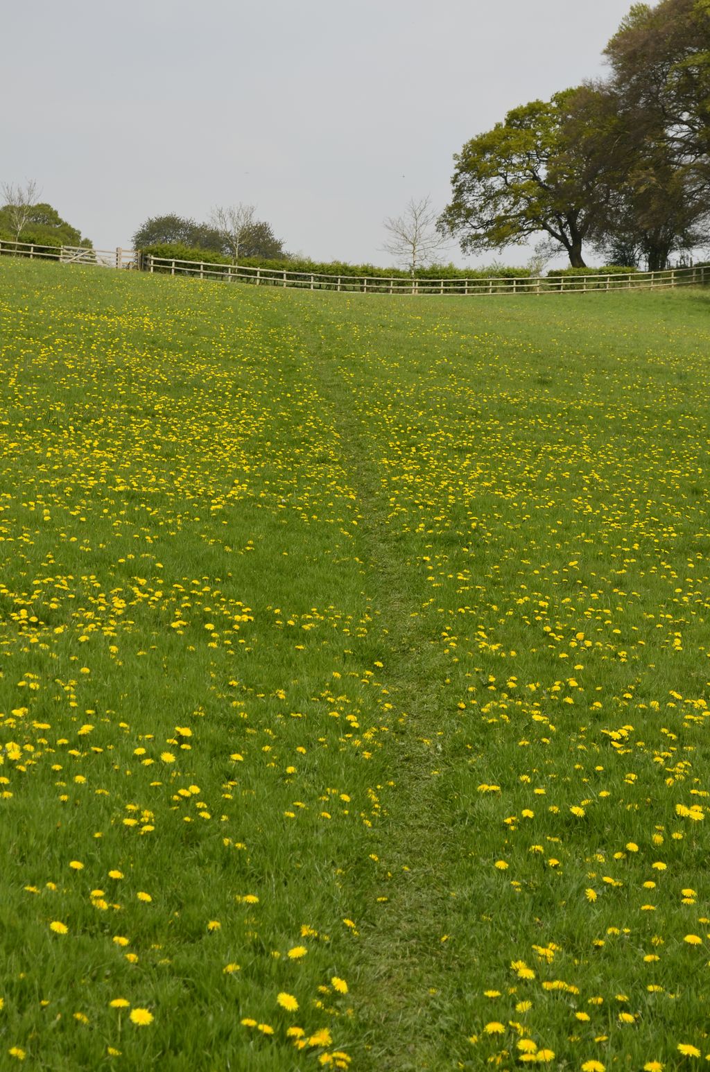 Sample images - Nikon D5100 review - Page 7 | TechRadar