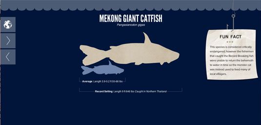 Interactive fish infographic is a reel treat | Creative Bloq