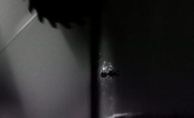 Limbo: what does it all mean?: Page 2 - Page 2 | GamesRadar+