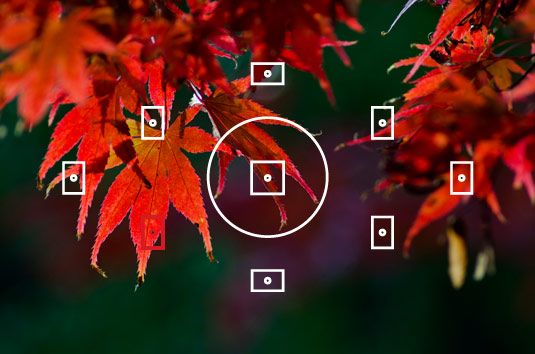 15 top tips to boost your photography skills | Creative Bloq