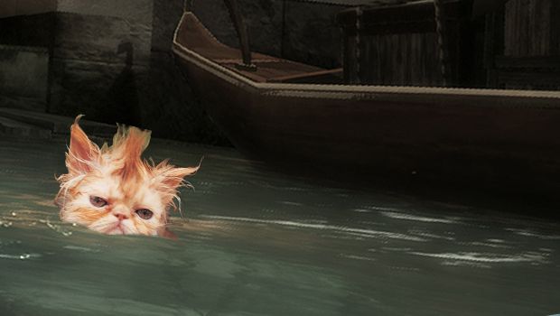 8 reasons Assassin's Creed is secretly a game about cats | GamesRadar+