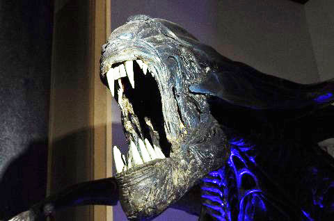 Alien Queen Jaw Stolen From Museum | GamesRadar+