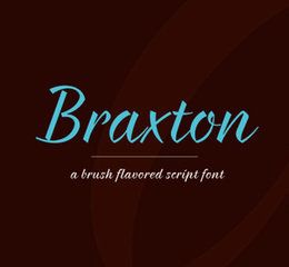 Font of the day: Braxton by Evgeny Tkhorzhevsky | Creative Bloq