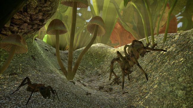 Ant Simulator is a promising survival game about being an ant | PC Gamer