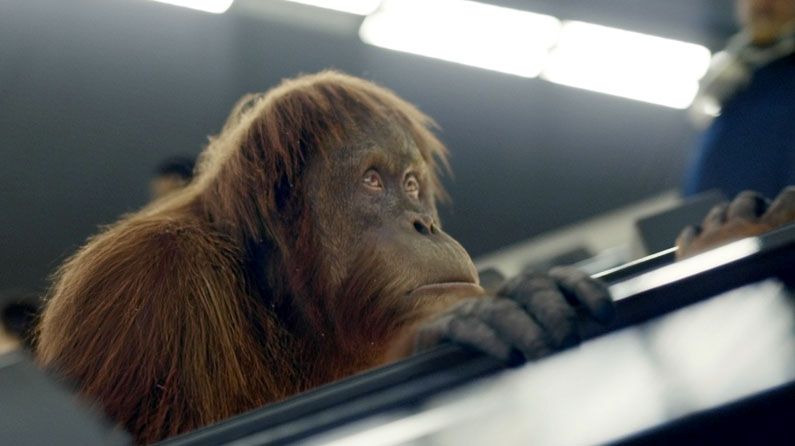 3 amazing uses of CG in commercials | Creative Bloq