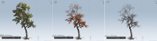 Grow a virtual forest with this amazing vegetation generator | Creative ...