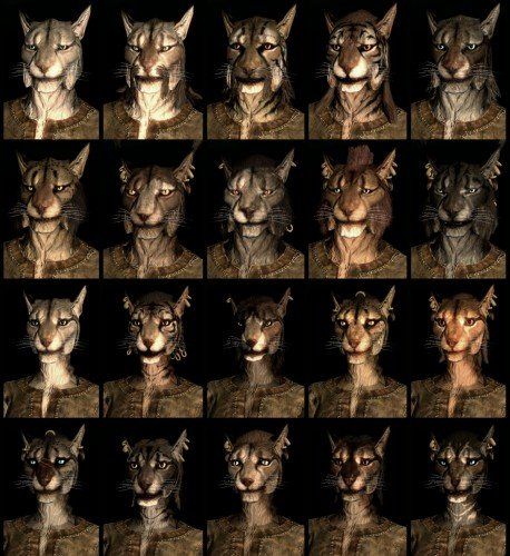 The Elder Scrolls V: Skyrim character screenshots show every race | PC ...