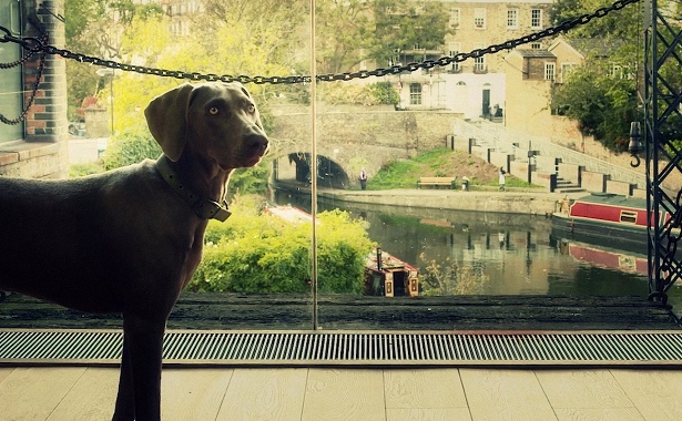 Made by Many: Many hands, one vision | Creative Bloq