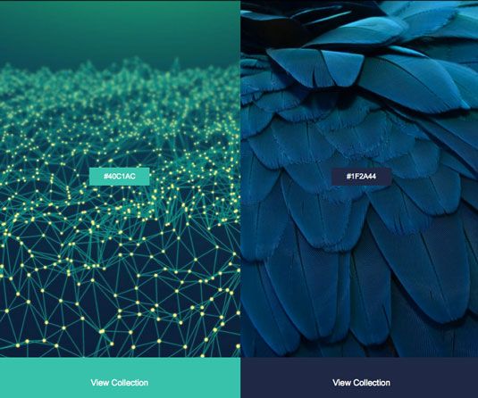 2015's most popular colours revealed | Creative Bloq