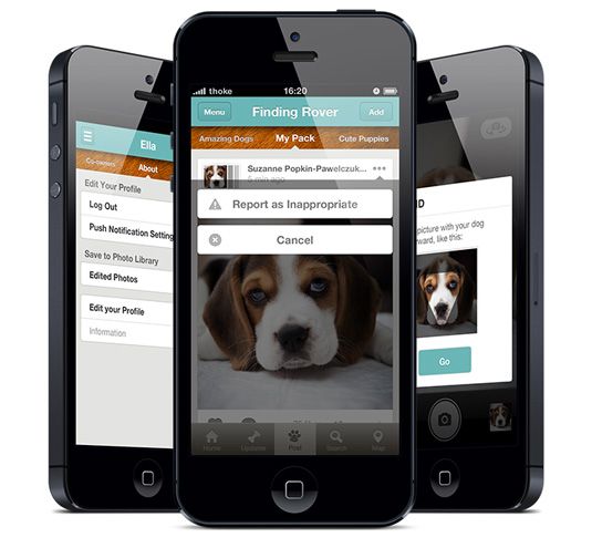 App finds lost dogs through facial recognition | Creative Bloq