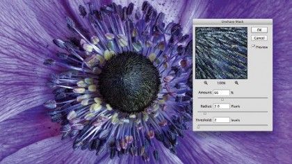 How to combine macro images for amazingly sharp photographs | TechRadar