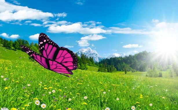 20 stunning examples of CSS 3D transforms | Creative Bloq