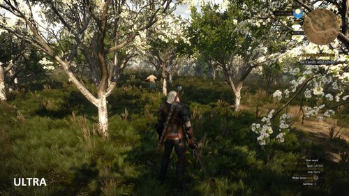Witcher 3 graphics options, performance and settings | PC Gamer