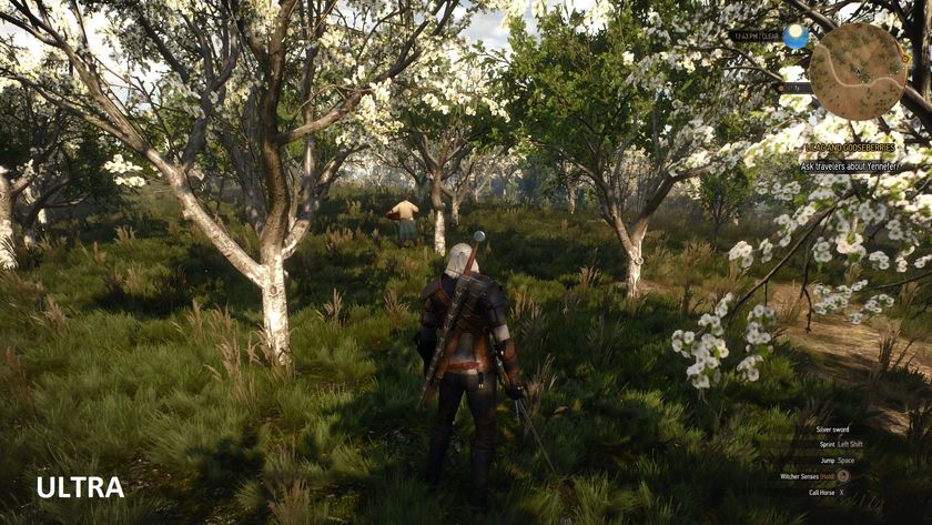 Witcher 3 graphics options, performance and settings | PC Gamer