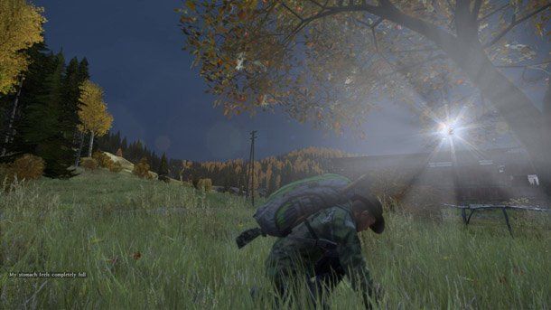 DayZ diary: the fishing trap: Page 2 - Page 2 | PC Gamer