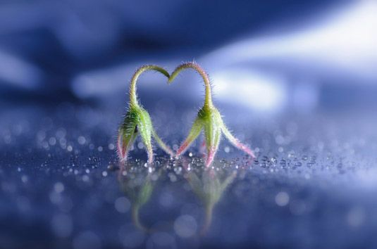 Still life photography: 30 beautiful examples | Creative Bloq