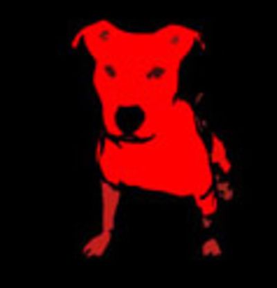 Red Dog Music on MusicRadar | MusicRadar