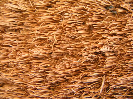 Where to find free background textures: 15 great resources: Page 2 ...