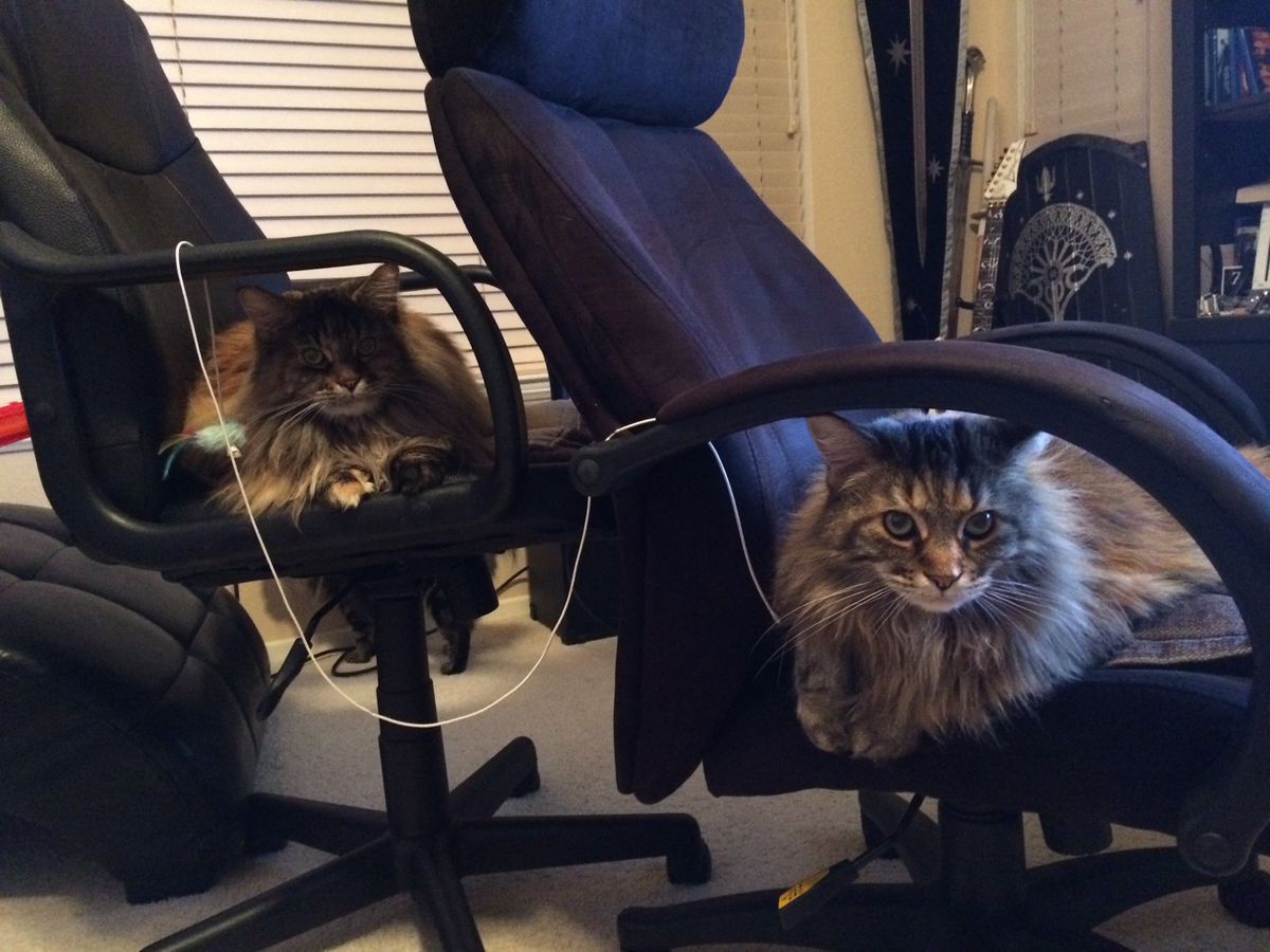 Show Us Your Rig: Everquest Next's Creative Director Jeff Butler | PC Gamer