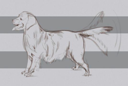 How to show motion in a line drawing | Creative Bloq