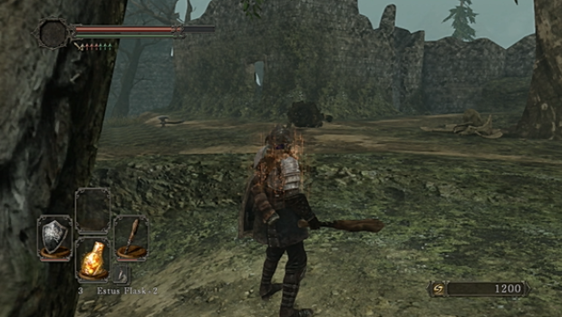 Dark Souls 2 Ring guide - where to find each ring, and their effects ...