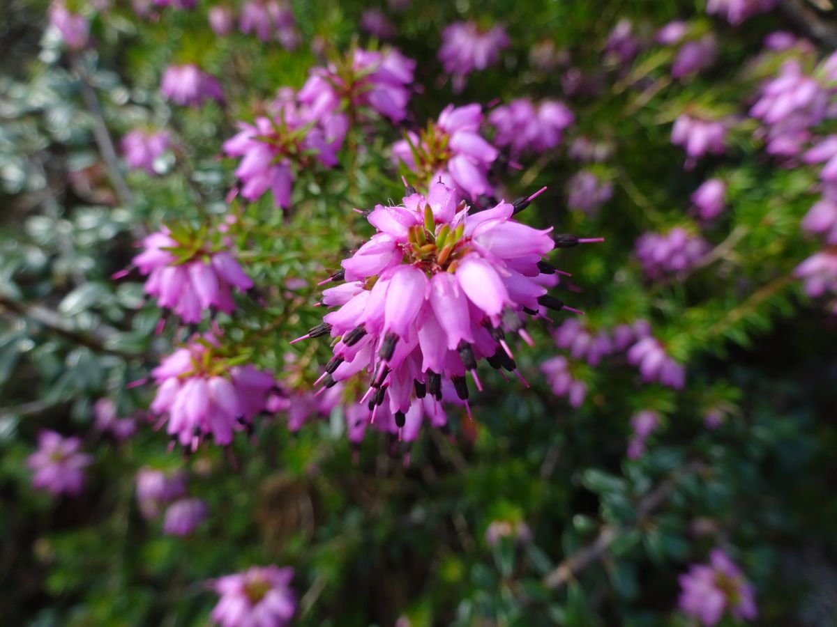Sample images - Sony WX350 review - Page 3 | TechRadar