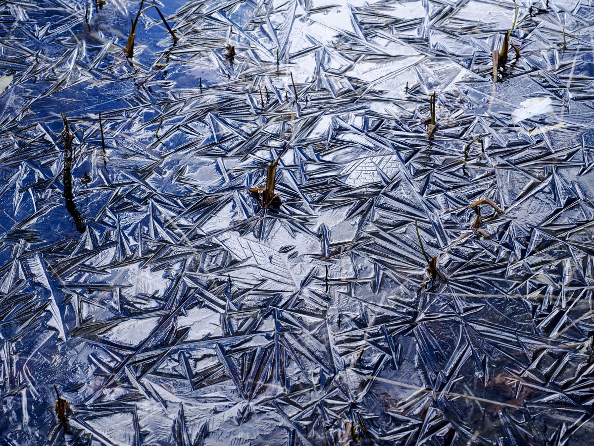 Sample photo gallery: Olympus OM-1 | Digital Camera World