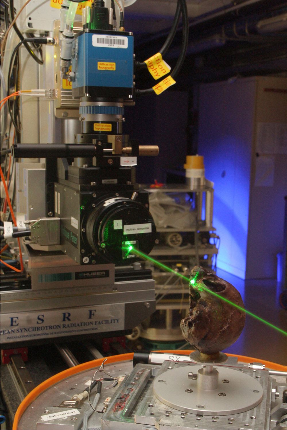 In Photos: 13-Million-Year-Old Primate Skull Discovered | Live Science