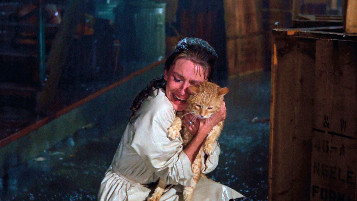 32 of the most famous cats | PetsRadar