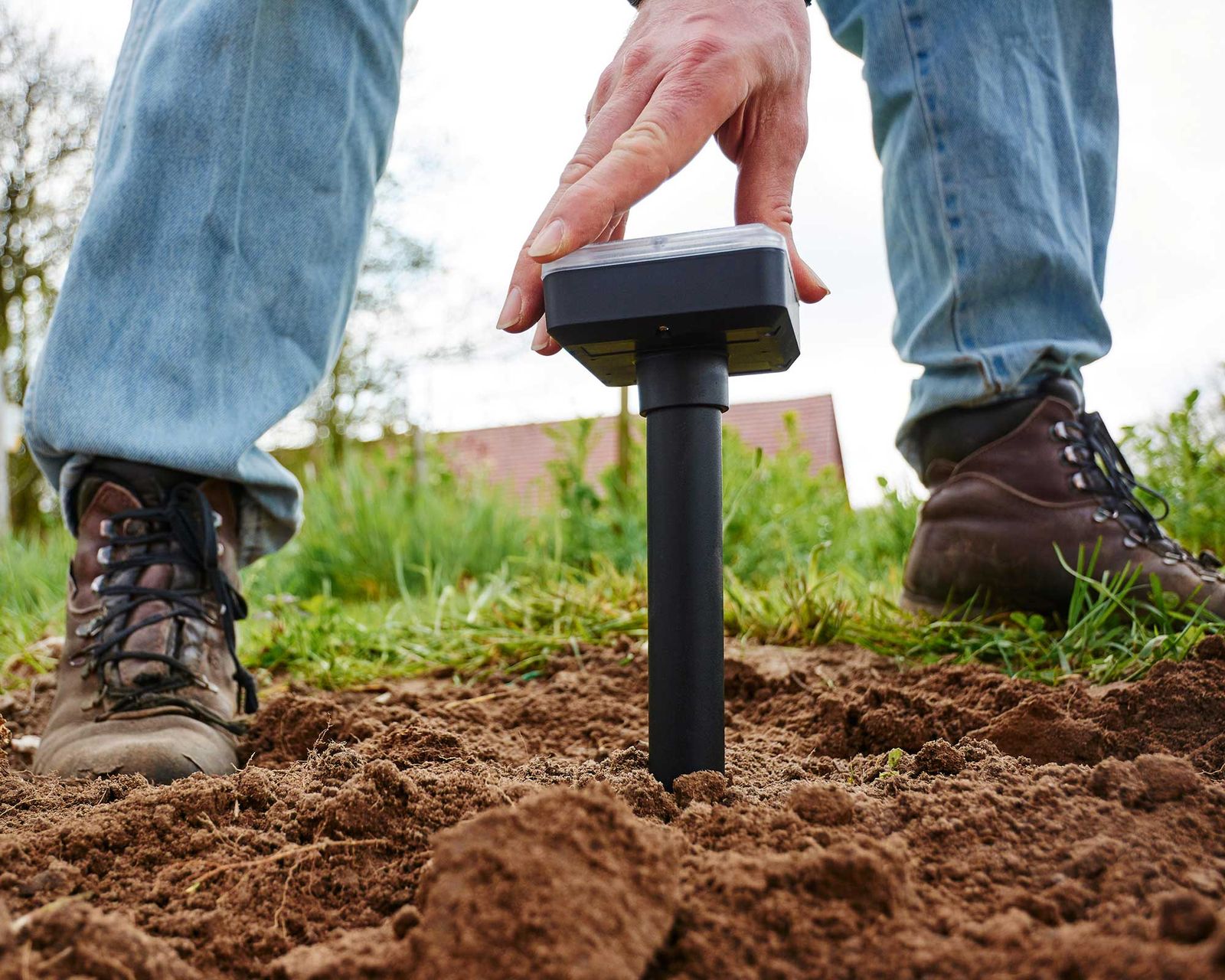 How to get rid of moles in your yard: 5 non-lethal ways | Gardeningetc