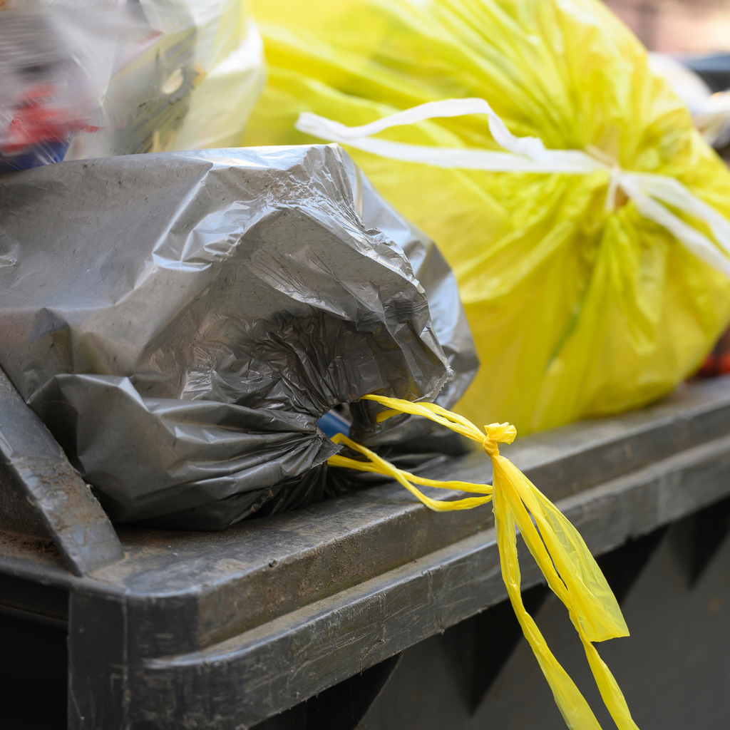 5 things you should never put in your garden waste bin | Ideal Home