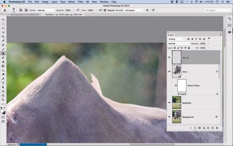 How to reshape photos of wildlife and pets | Digital Camera World