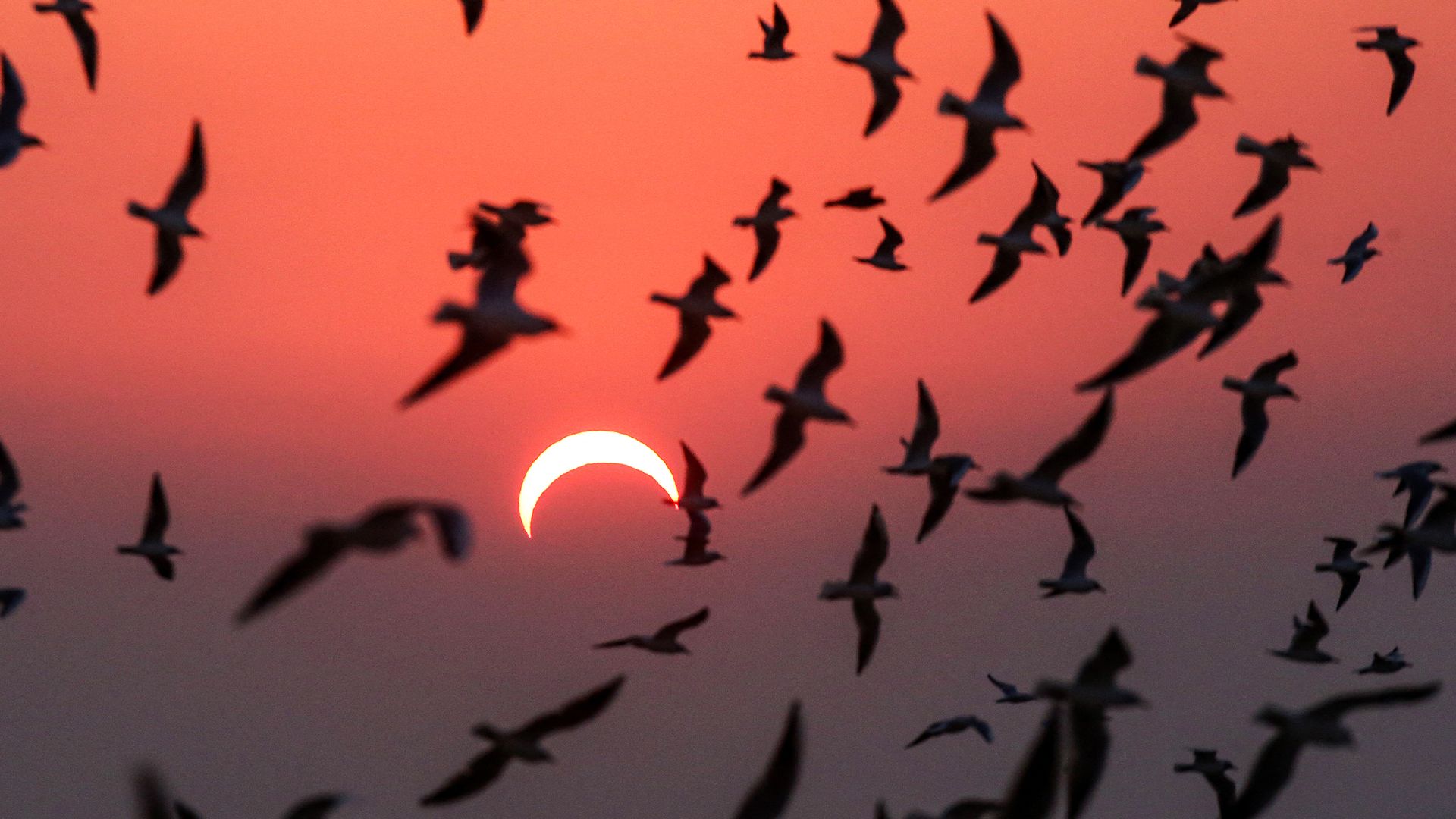 10 weird things that happen during a solar eclipse | Live Science