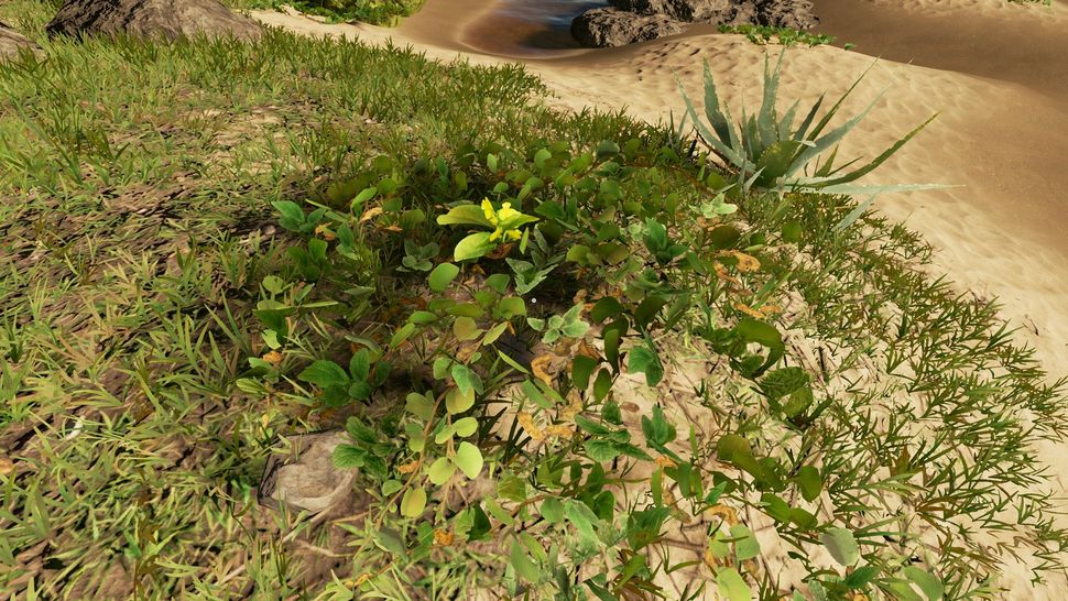 How to find the Pipi plant in Stranded Deep and craft a poison antidote ...
