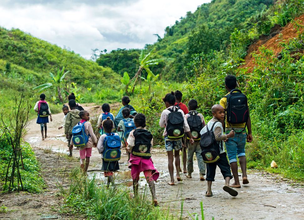 How many people are in the world? | Live Science