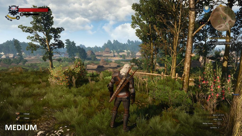Witcher 3 graphics options, performance and settings | PC Gamer