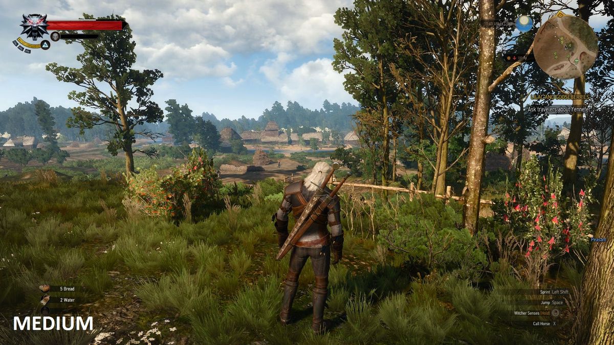 Witcher 3 graphics options, performance and settings | PC Gamer