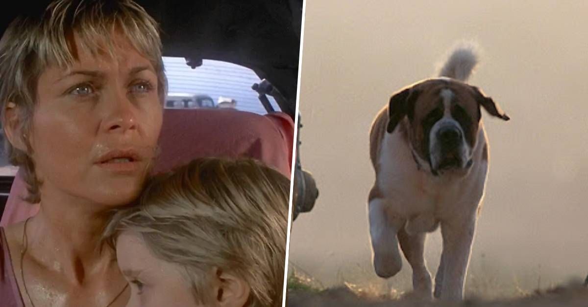 Netflix is making a brand new adaptation of Cujo, the infamous Stephen ...