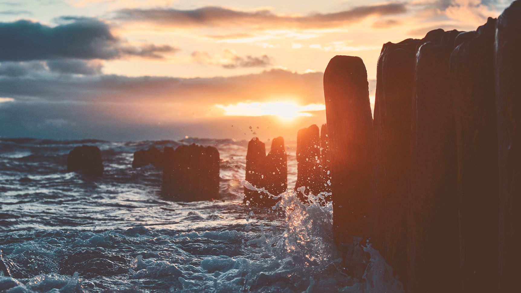 Capture creative depth-of-field in your photos | Digital Camera World