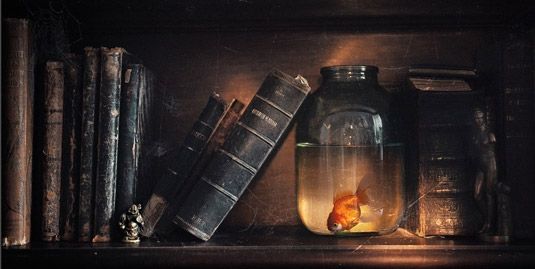 Still life photography: 30 beautiful examples | Creative Bloq