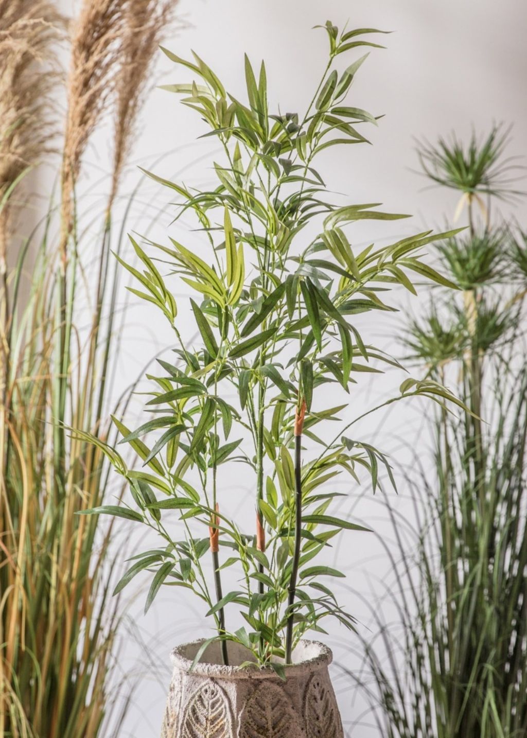 Feng Shui Bamboo Placement — Rules You Need to Follow | Livingetc