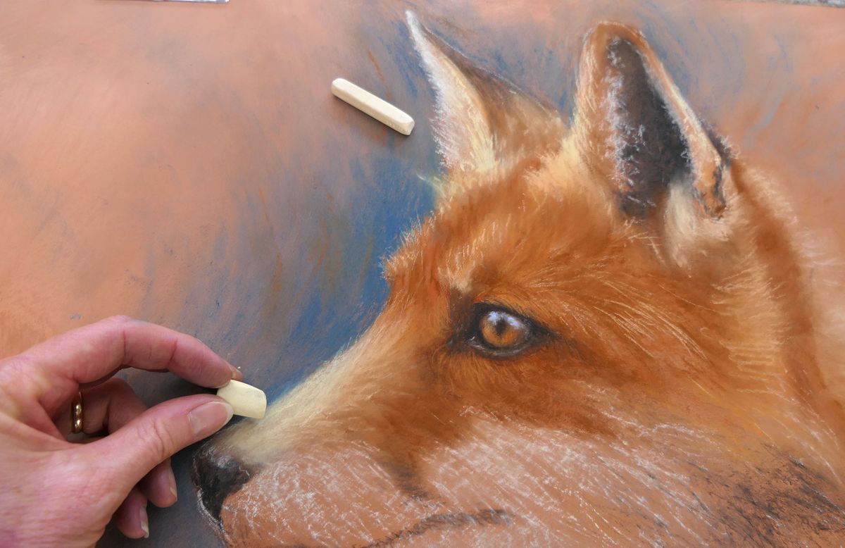 How to draw a fox using pastels | Creative Bloq