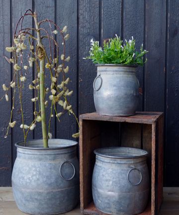 Winter planter ideas: 12 cold-weather containers that will look good ...