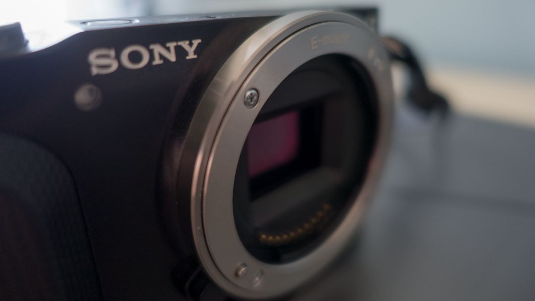 Here's the first image taken with Sony's new curved camera sensor ...