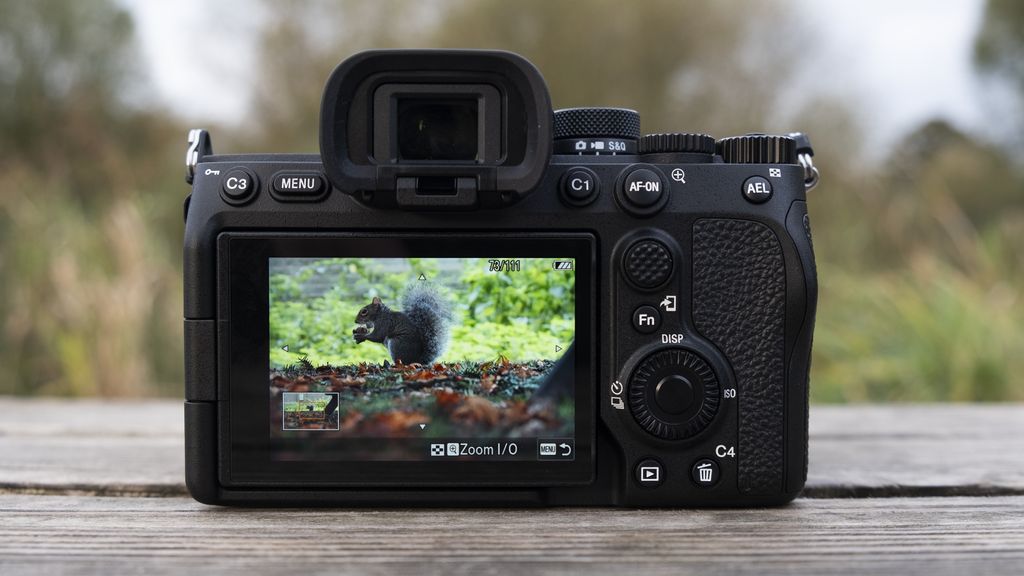 Sony A7 IV review: the new hybrid king | TechRadar
