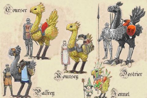 Chocobo breeds revealed | GamesRadar+