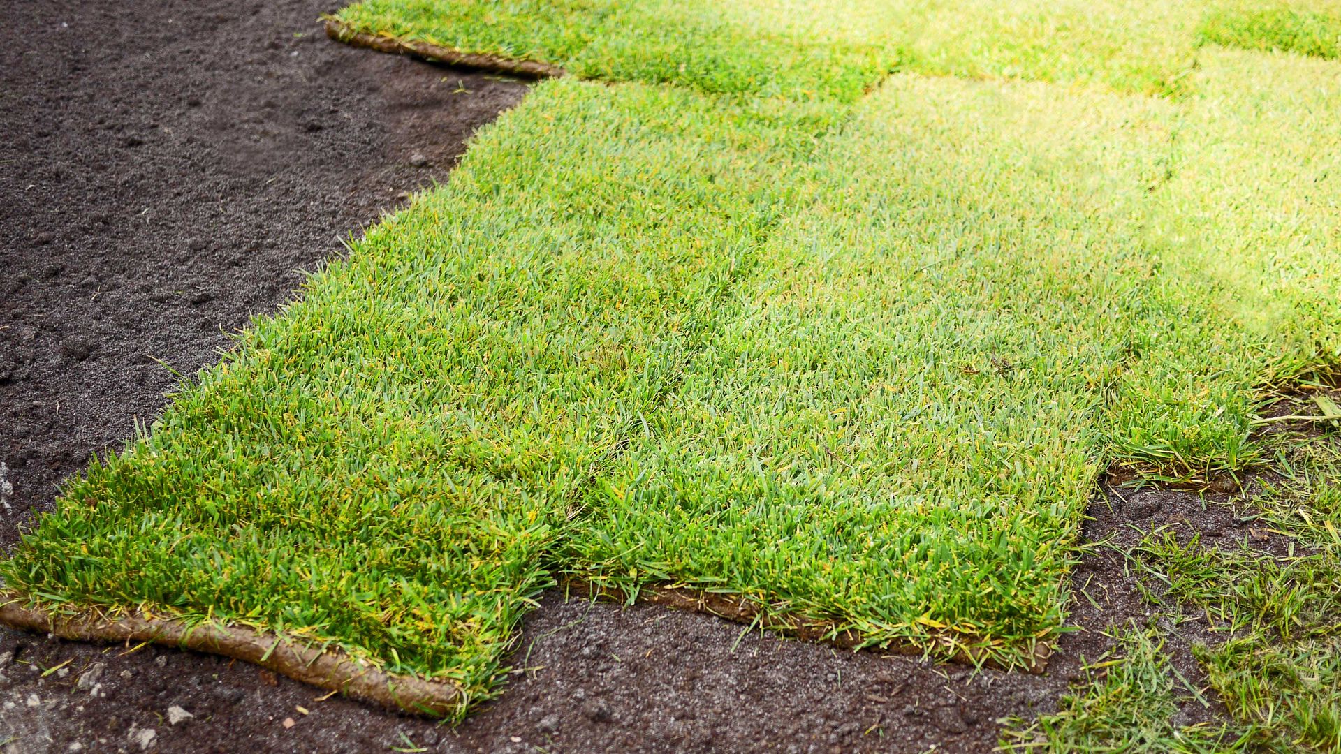 When to mow new turf? And why you shouldn't mow it too soon | Homebuilding