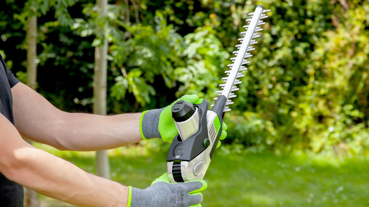 Cobra H5024V vs Gtech HT 50: a topiary standoff between two mighty ...